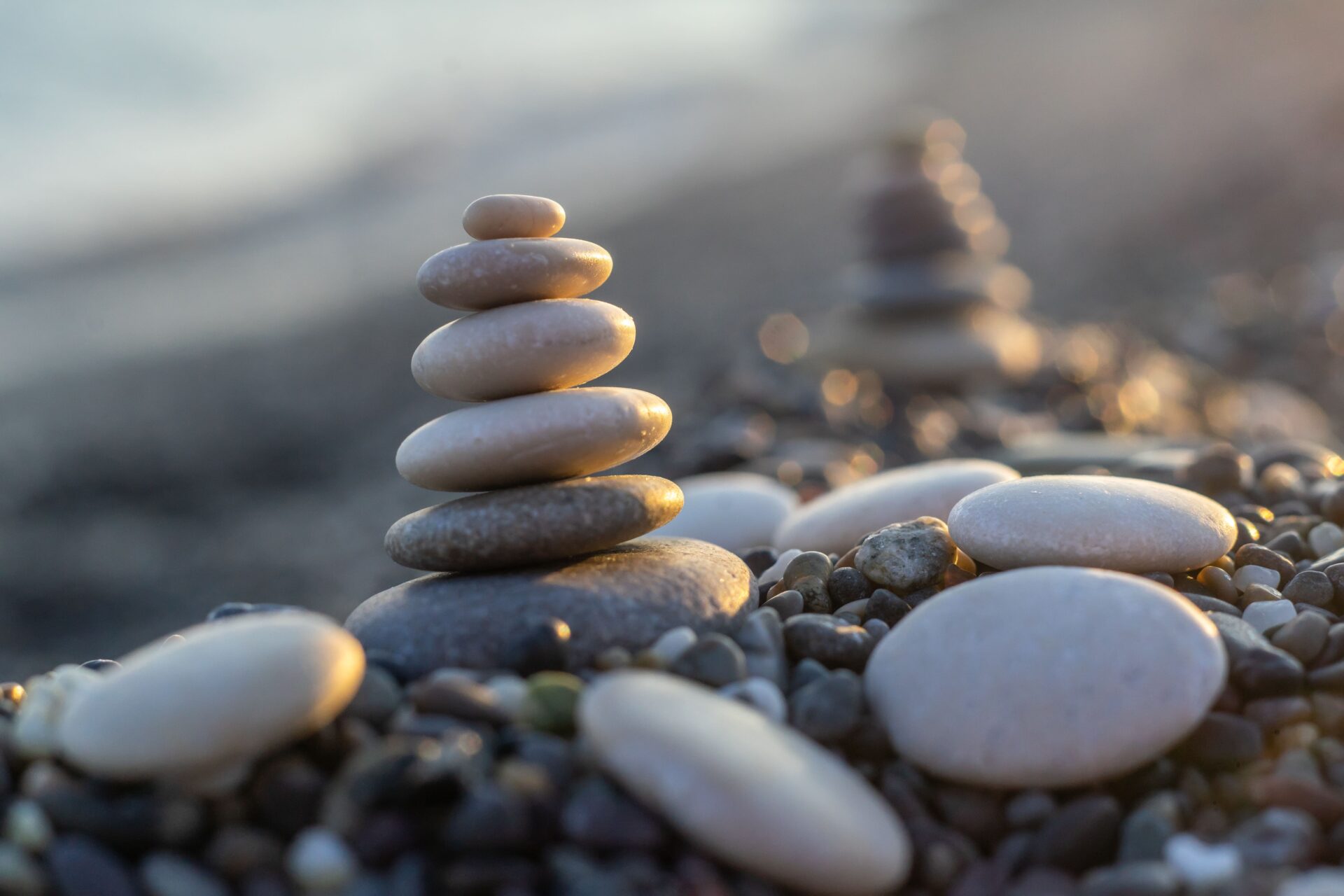 tarifications - Animaflowstudio